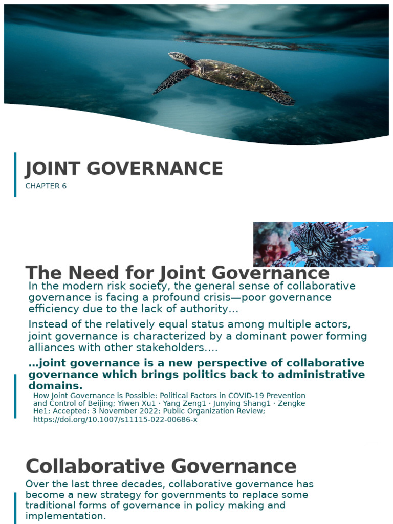 Joint Governance | PDF | Governance | Political Science