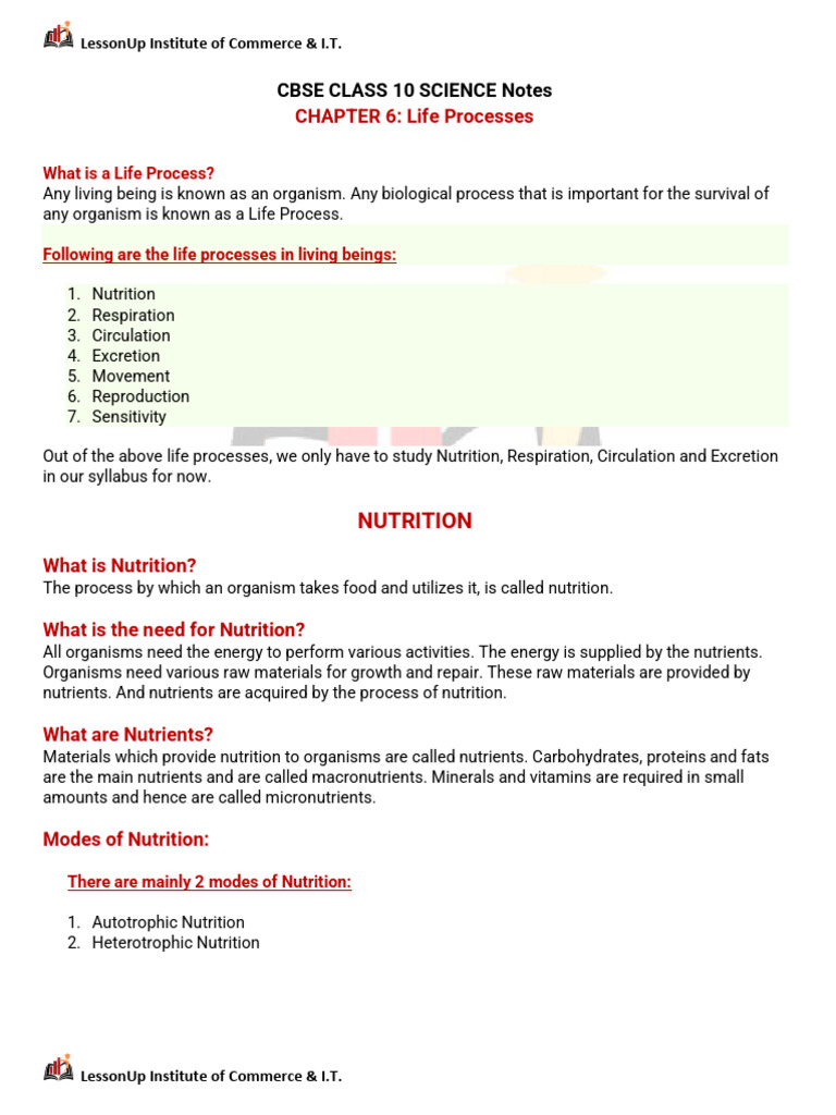 CHP 5 Life Processes NOTES | PDF | Respiratory Tract | Cellular Respiration