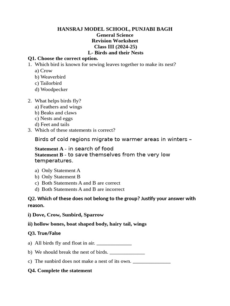Class 3 Worksheet: Birds and Nests | PDF | Birds | Ornithology