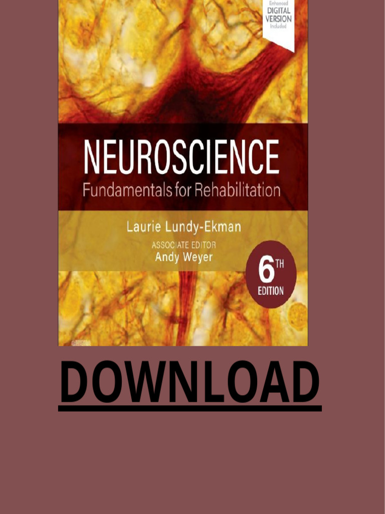 Neuroscience | PDF