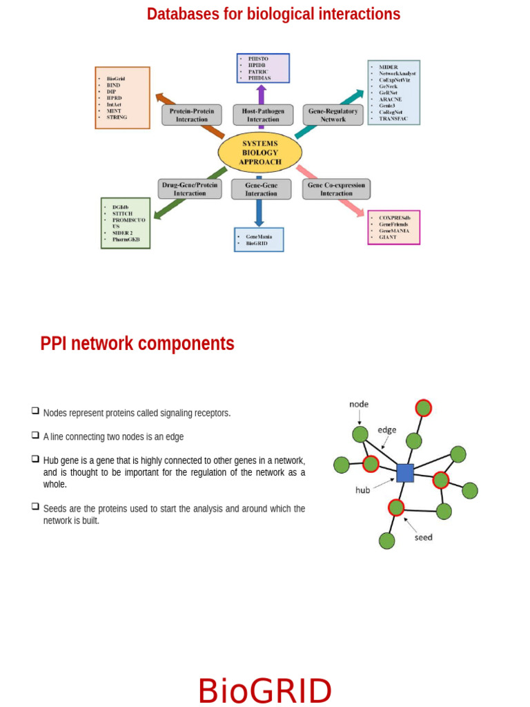 18-DIP - Database of Interacting Proteins-26-09-2024 | PDF | Protein–Protein Interaction ...