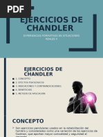 Ejercicios de Buerguer Allen para Circulación | PDF