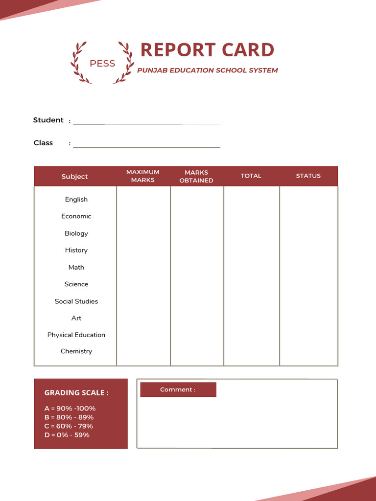 Punjab Education School System | PDF