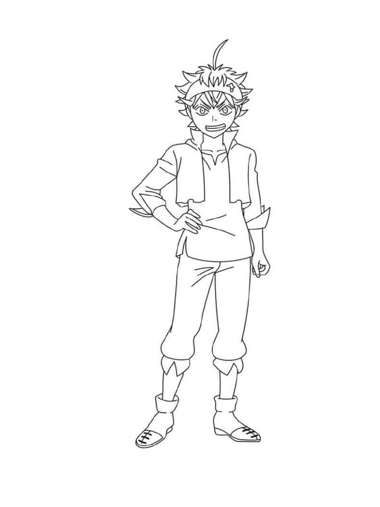 Asta | PDF
