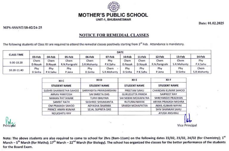 Remedial Schedule | PDF