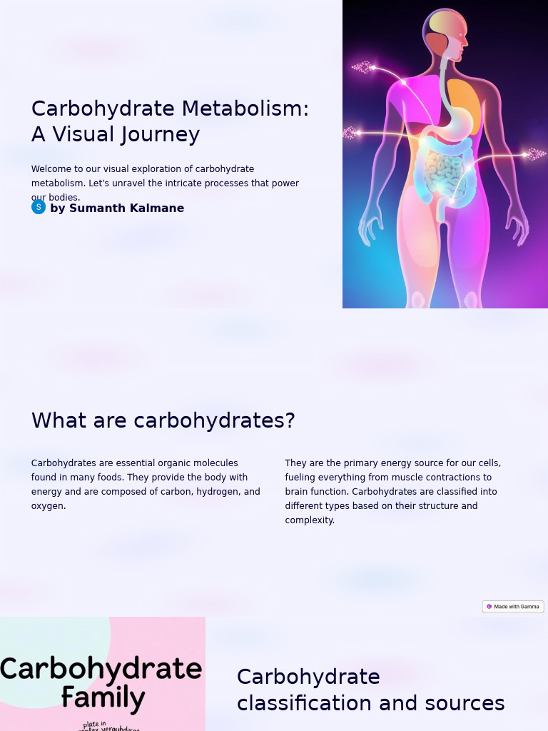 Carbohydrate Metabolism A Visual Journey | PDF | Carbohydrates | Glucose