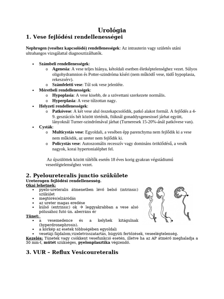 Urológia: 1. Vese Fejlődési Rendellenességei | PDF