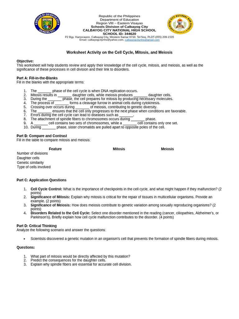 Cell Division Worksheets | PDF | Mitosis | Meiosis