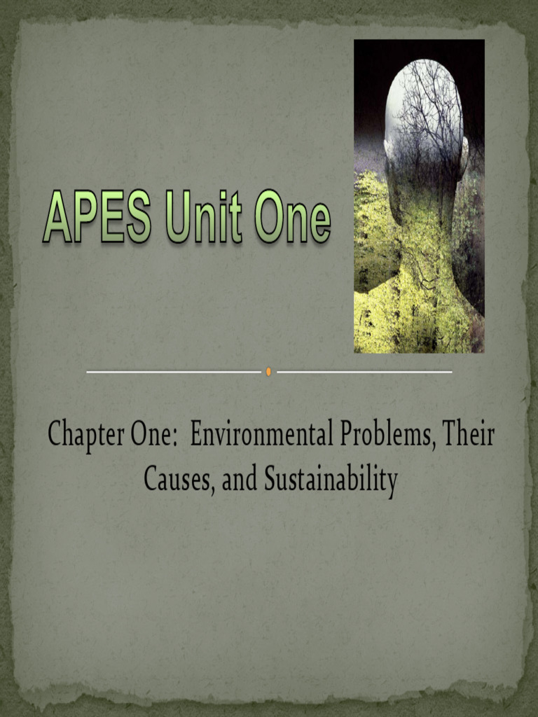 Apes Ch1 Notes Pierce-1 | PDF | Gross Domestic Product | Sustainability