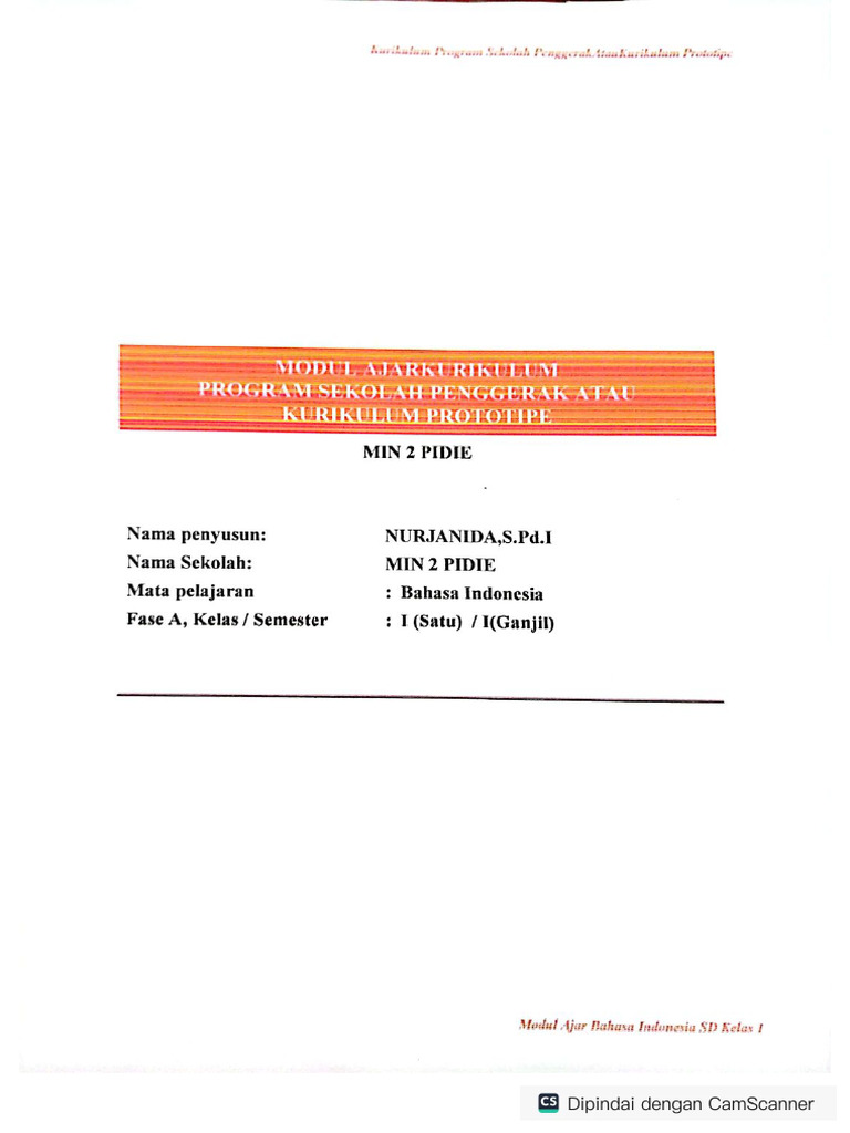 RPP Nida 24-25 | PDF