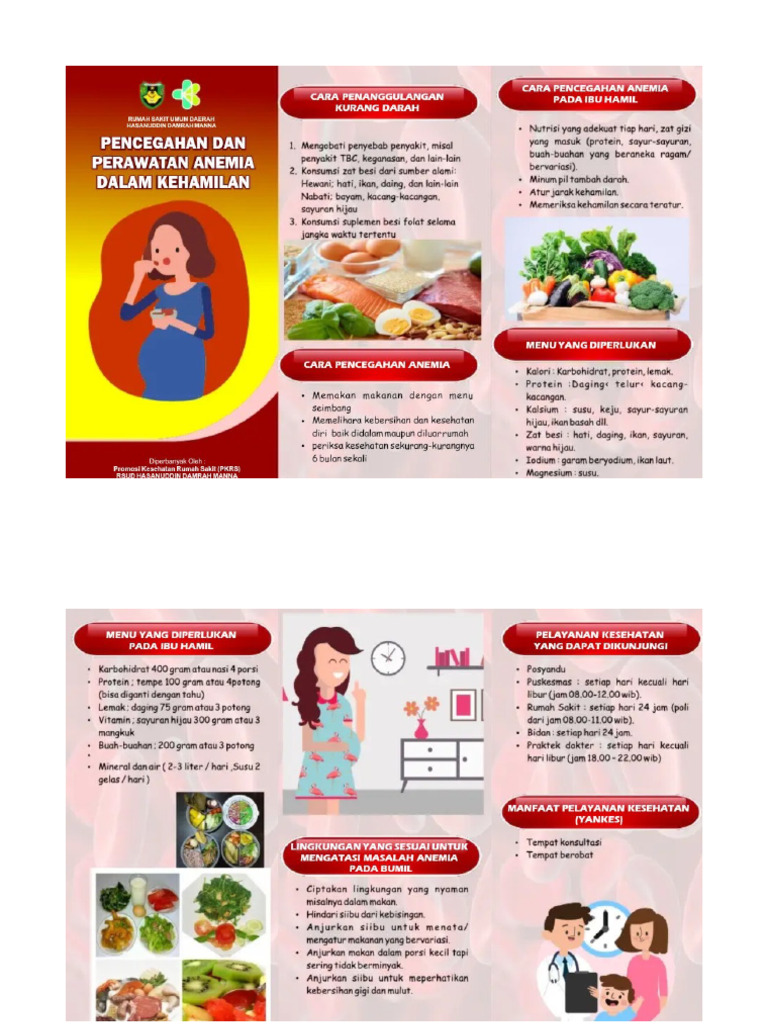 Leaflet Anemia | PDF
