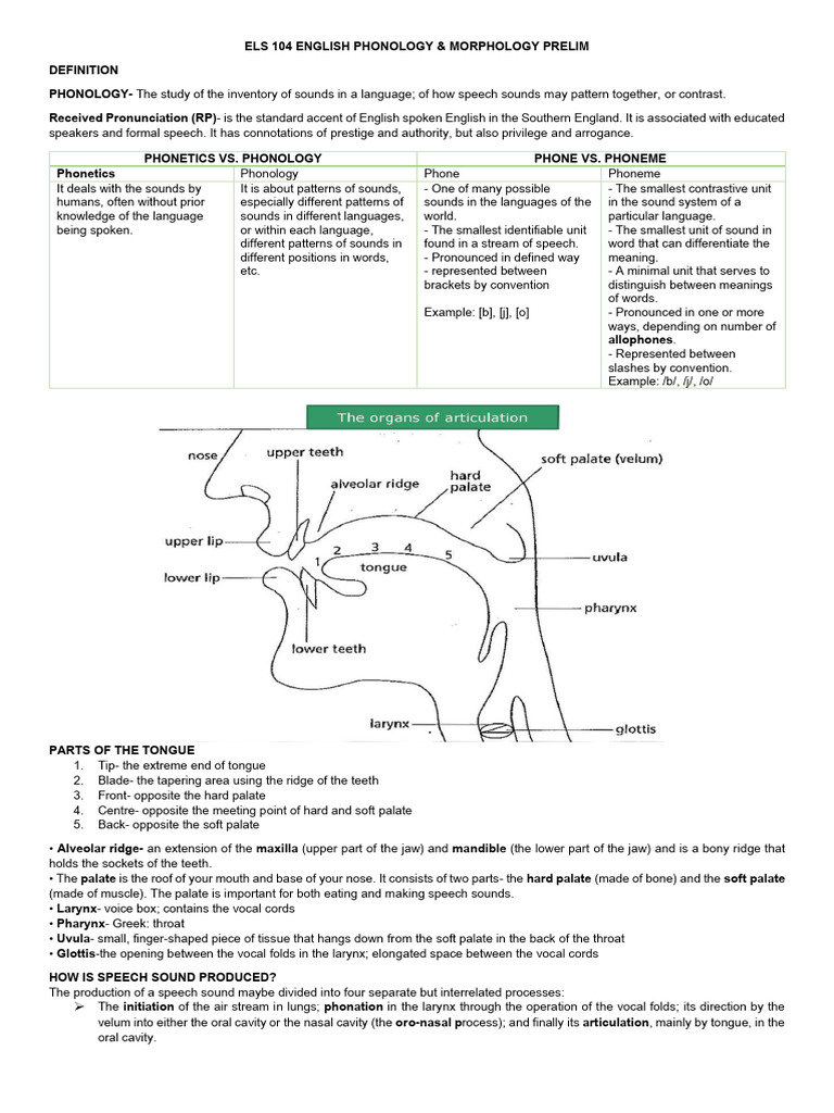 Els 104 English Phonology Morphology 2 | PDF | Word | Morphology ...