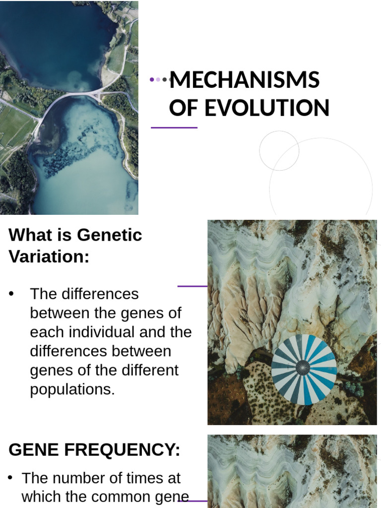 Mechanisms of Evolution | PDF | Mutation | Reproduction