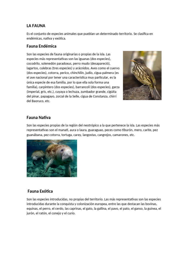 La Fauna RD | PDF | Zoología