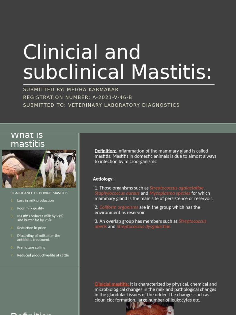 Understanding Bovine Mastitis Types | PDF | Milk | Immunology