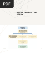 Sample Emg/Ncv Report - Normal Study | PDF | Electromyography ...