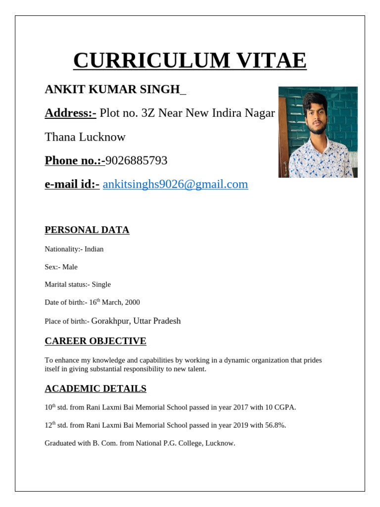 Ankit CV | PDF
