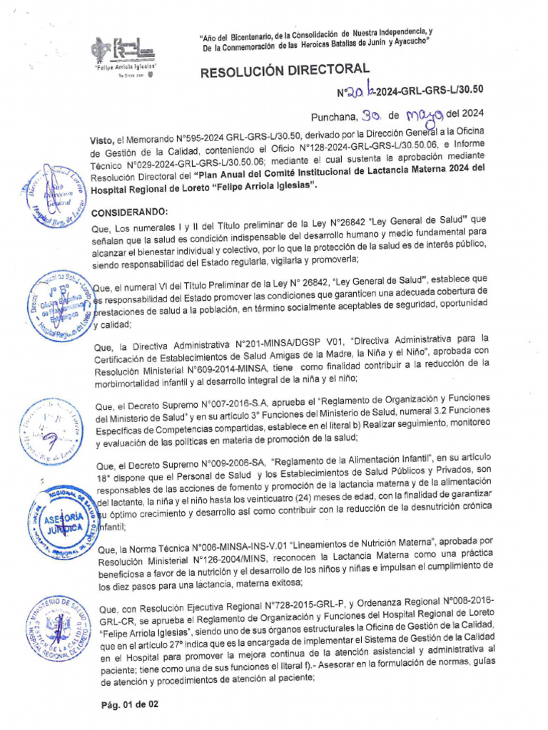 Resolucion Directoral N 206 2024 Plan Anual Comite Instituc Lactancia Materna 2024 | PDF