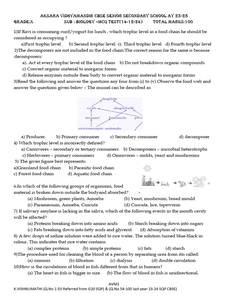 Grade x One Mark Test | PDF | Neuron | Reproduction
