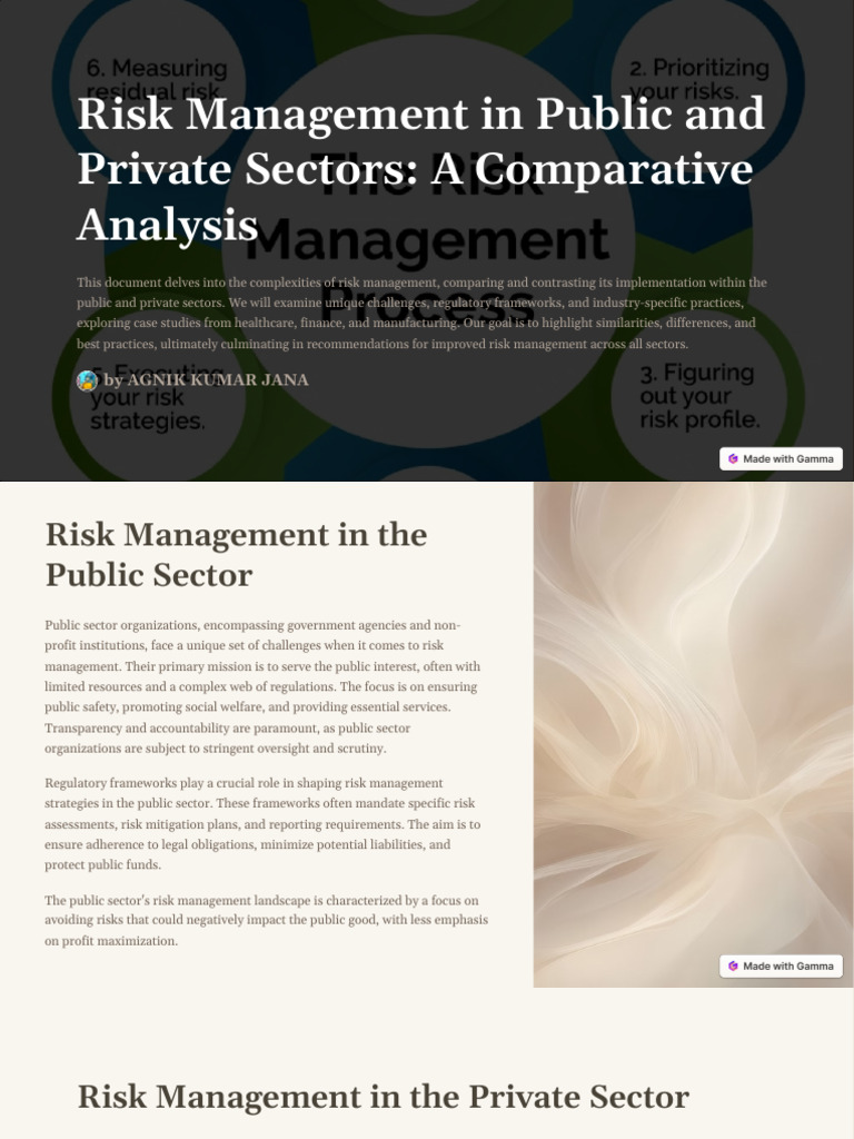 Risk Management in Public and Private Sectors A Comparative Analysis | PDF | Risk Management | Risk