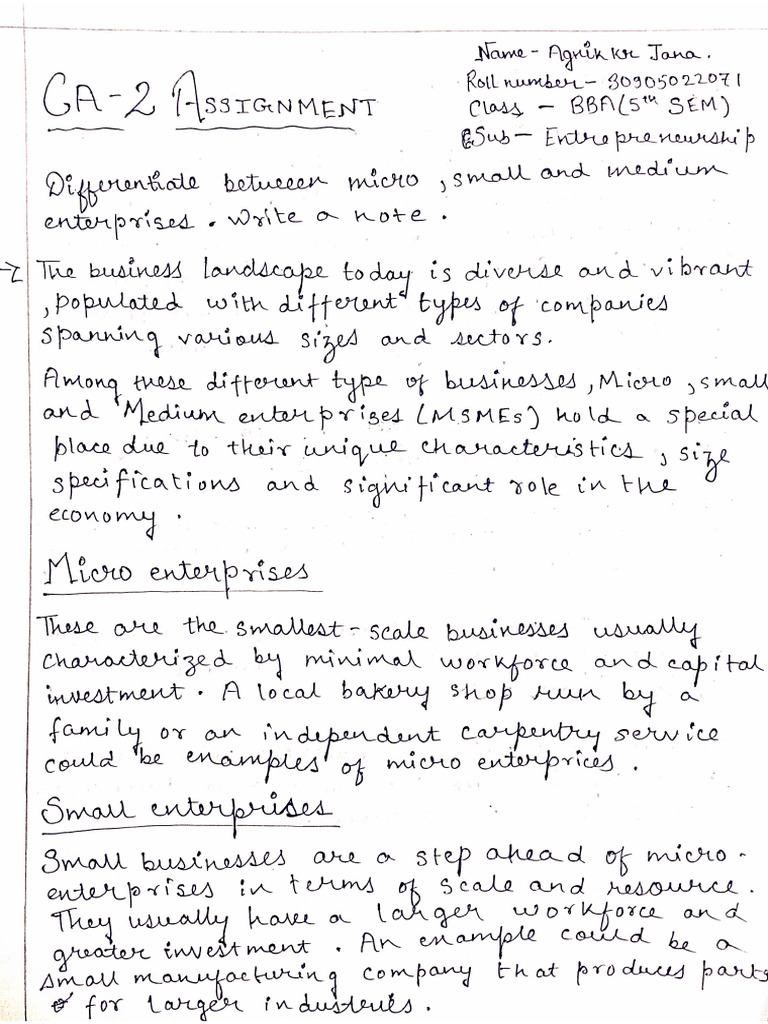 Agnik KR Jana - Ca2 - Entrepreneurship | PDF