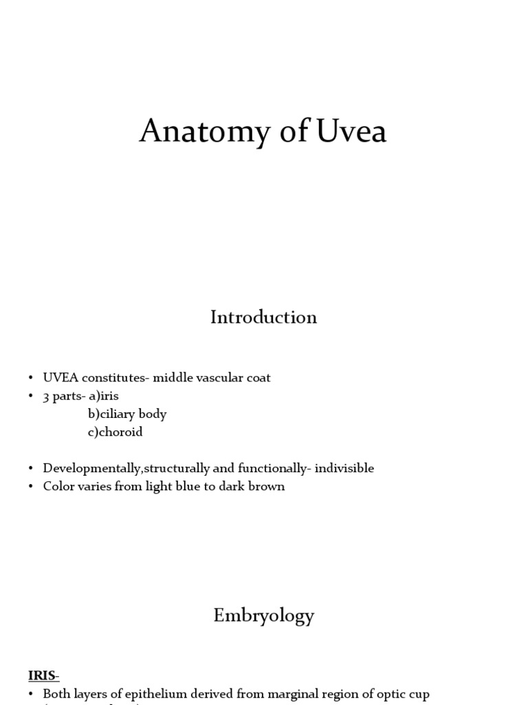 uvea ppt | PDF | Human Eye | Ophthalmology