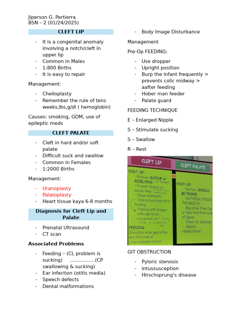 Gastrointestinal Tract | PDF