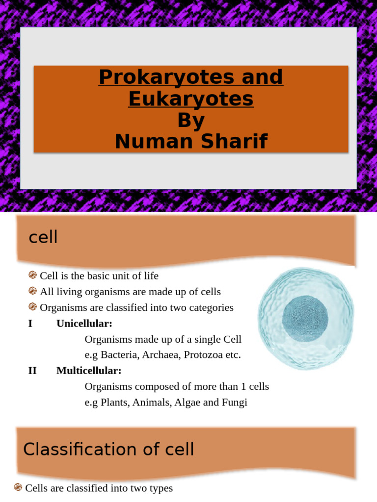 Cell Types: Prokaryotes vs Eukaryotes | PDF | Cell (Biology) | Eukaryotes
