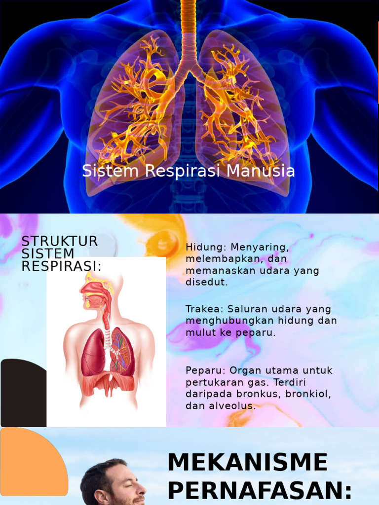 Sistem Respirasi Manusia CANVA | PDF