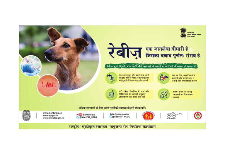 Rabies Bill Board | PDF