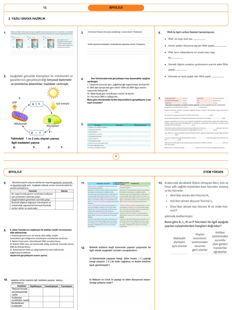 Yazili Sinava Hazirlik | PDF