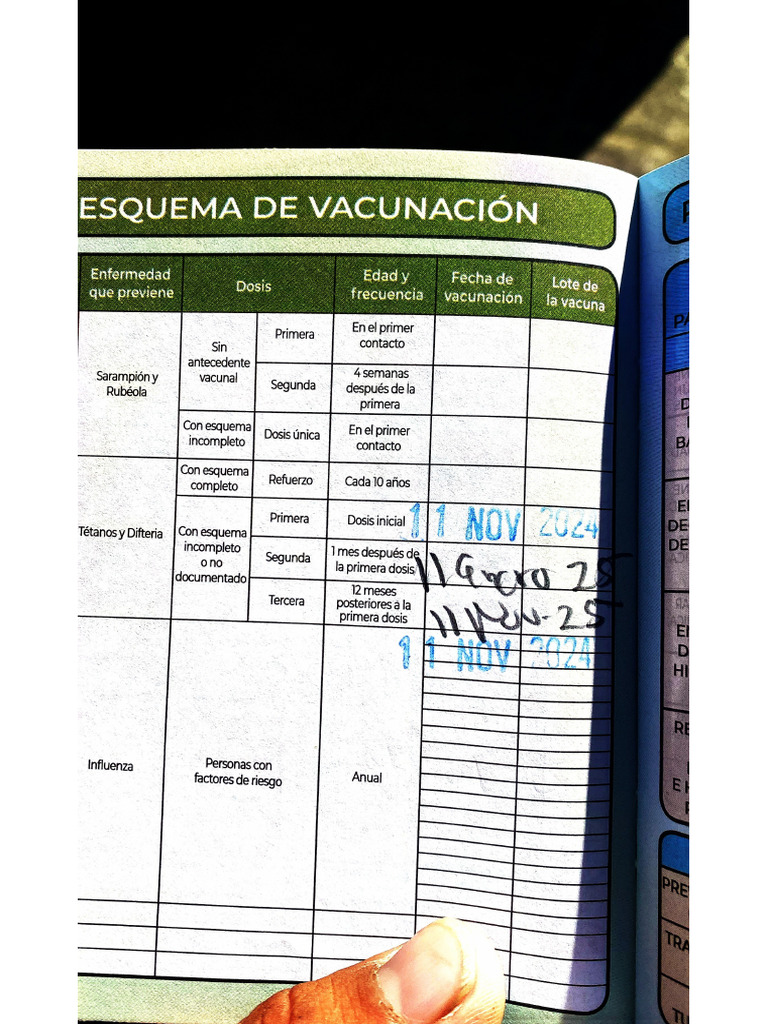 Vacuna Tetanos Mauricio Ramos | PDF