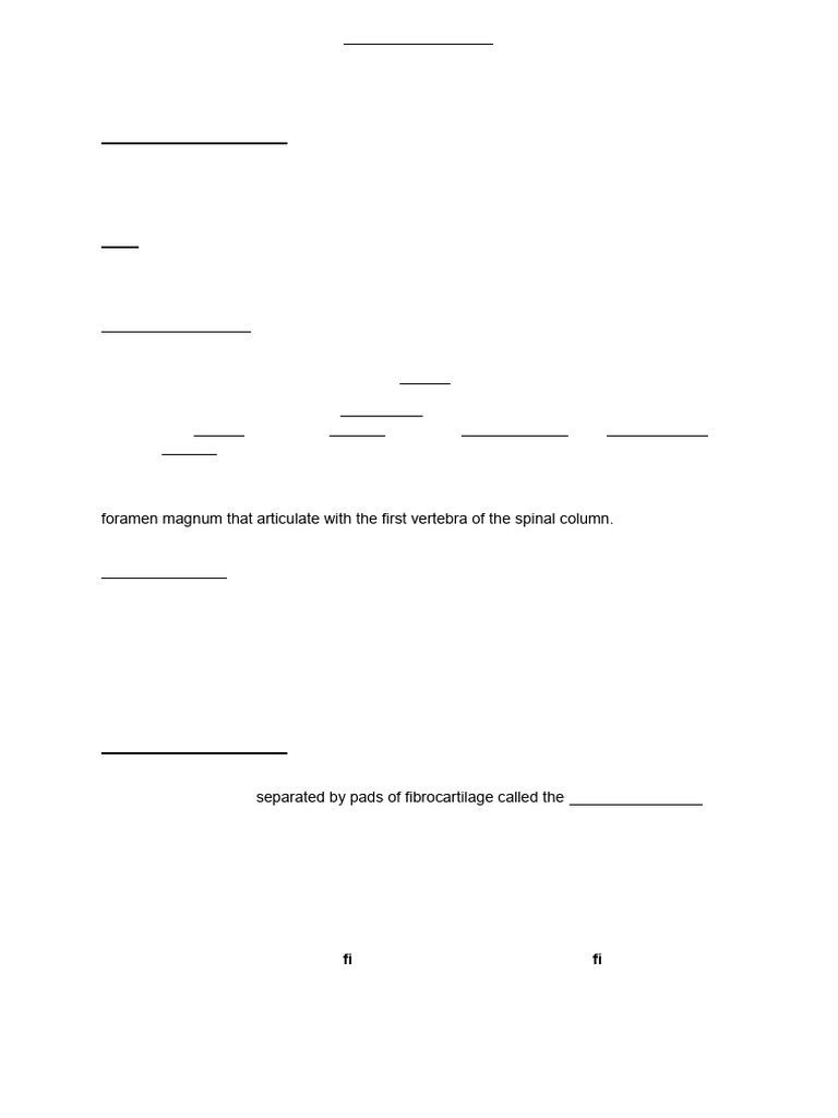 Skeletal System Overview | PDF | Vertebral Column | Skull