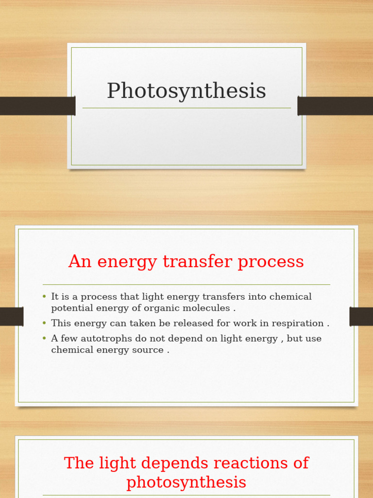 Photosynthesi bo | PDF | Photosynthesis | Photochemistry