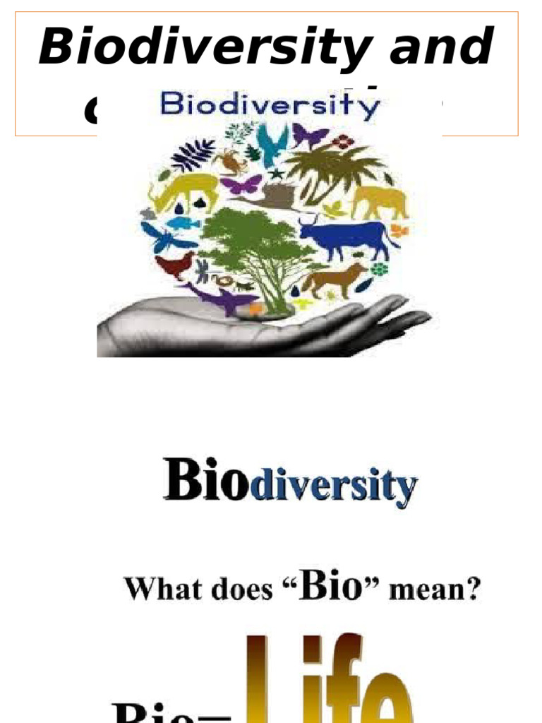 Biodiversity: Definition & Value | PDF