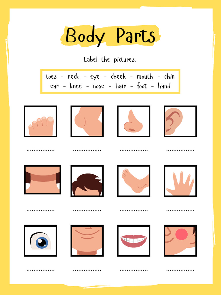 Body Parts Vocabulary Worksheet in Yellow White Cute Style | PDF