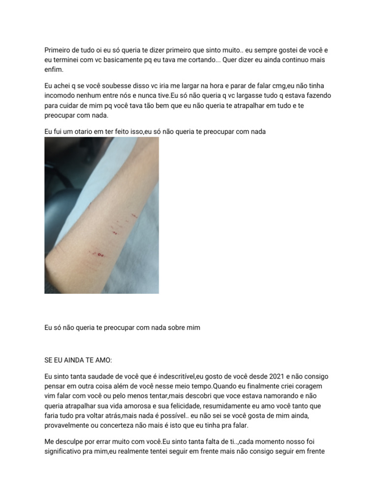 EXPLICAÇÕES Cellbit | PDF