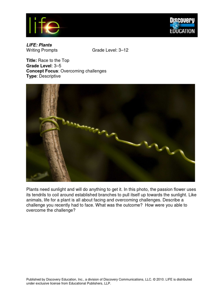 Writing Prompts on Plant Adaptation | PDF