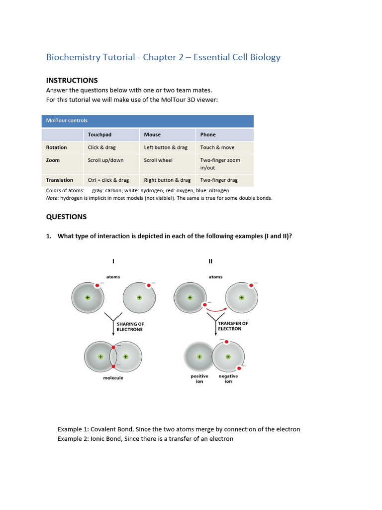 Chapter 2_tutorial_breakout 1.docx | PDF | Chemical Bond | Biological Membrane