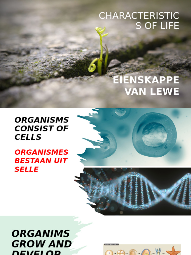 Characteristics of Life | PDF