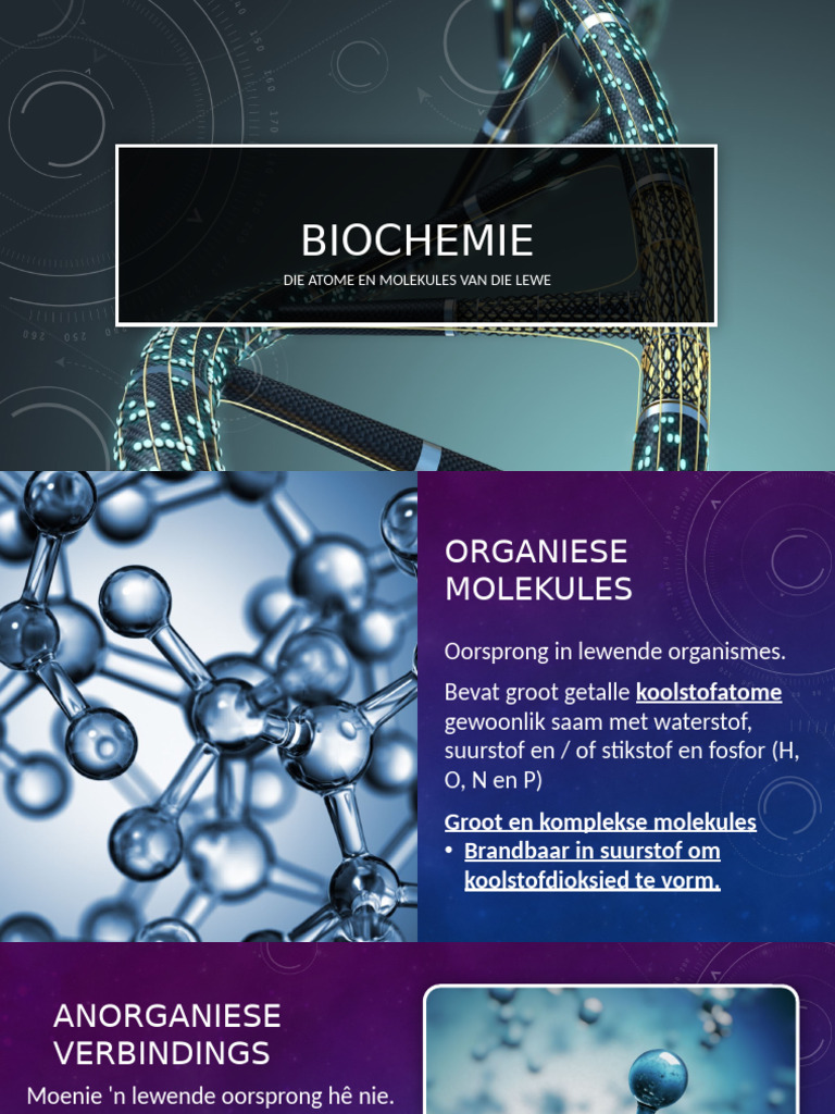 BIOCHEMIE | PDF