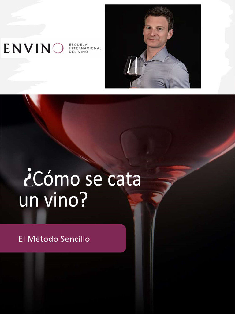 Guía de Cata de Vinos Paso a Paso | PDF | Vino | Uva