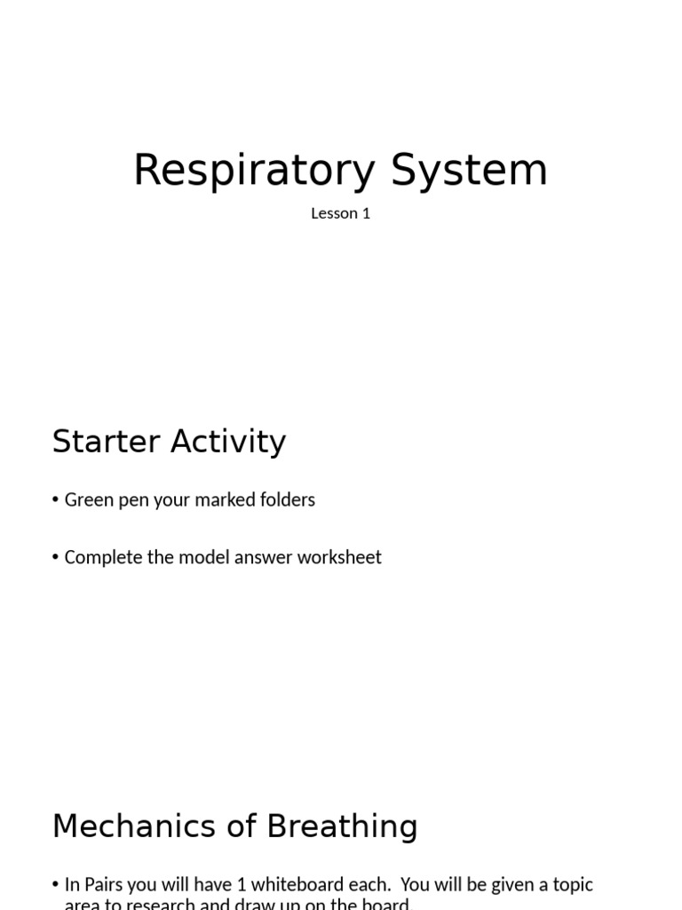 Respiratory System Lesson 2 | PDF | Breathing | Lung