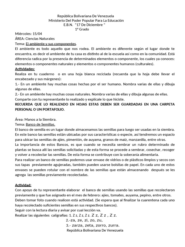 Actividades Educativas para 1° Grado | PDF | Siembra
