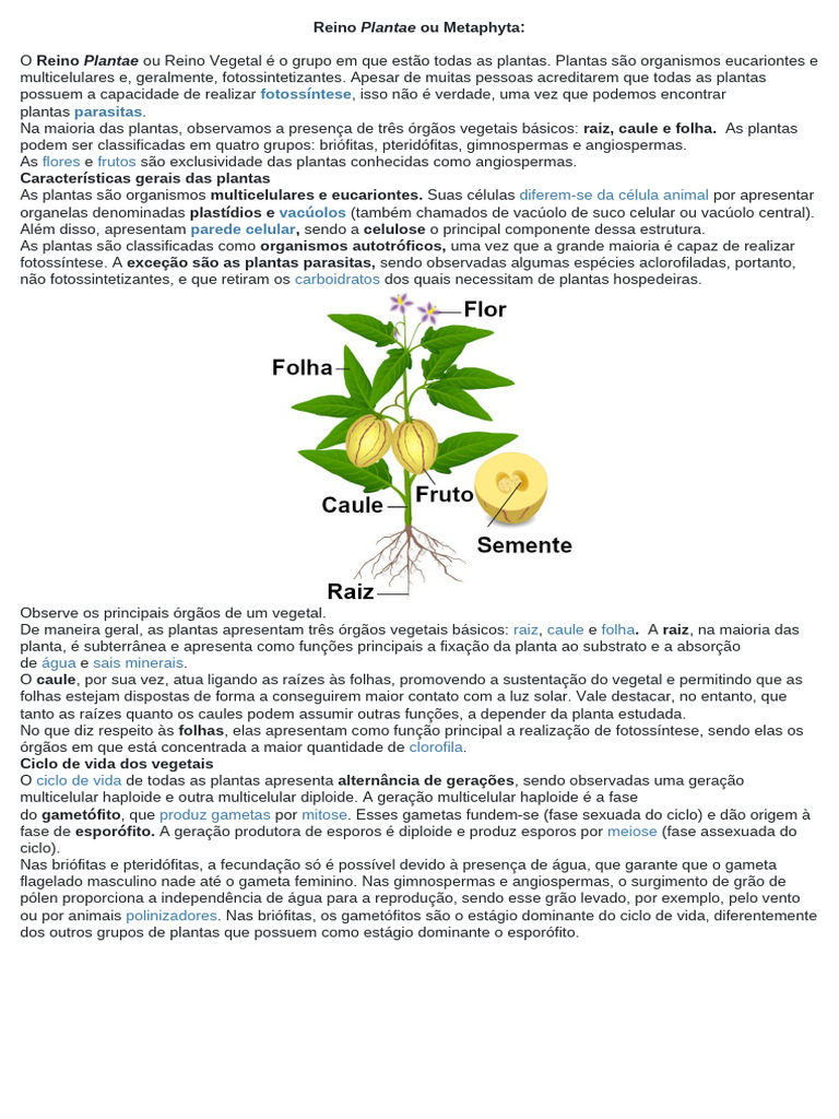 REINO PLANTAE OU METAPHYTA | PDF | Plantas | Reprodução sexual