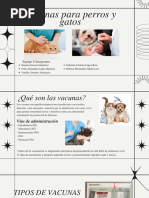 Pfizer Vanguard SP Final | PDF | Vacunas | Virus