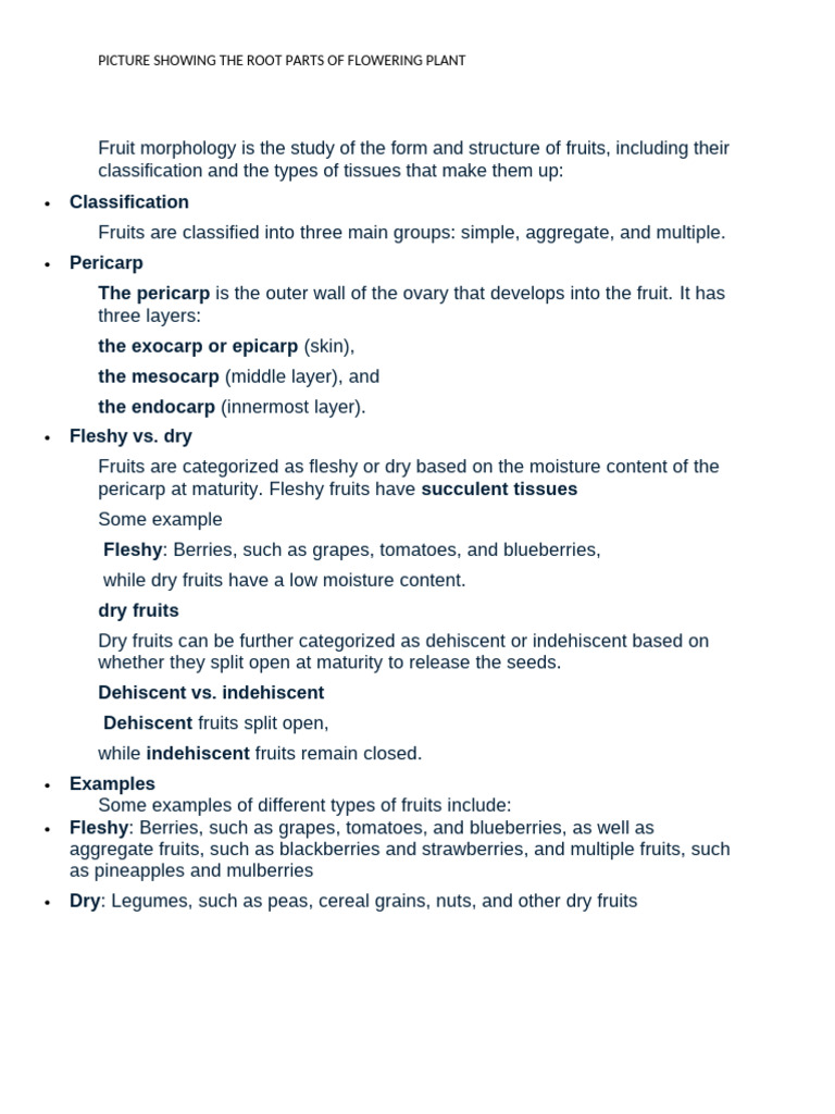 Understanding Fruit Morphology and Types | PDF