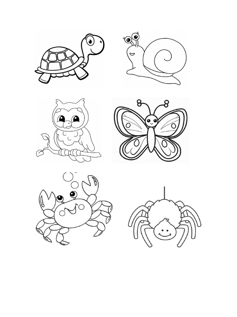 Animales Imprimir Pdf