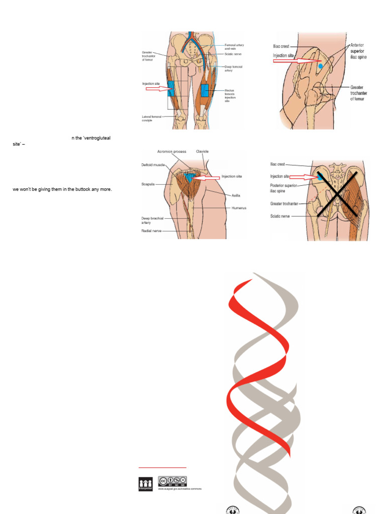 Long Acting Intramuscular Injections Brochure | PDF | Clinical Medicine ...