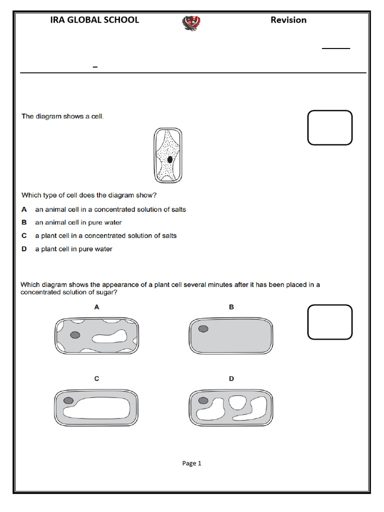 Gr8 Bio UT2 Rev | PDF
